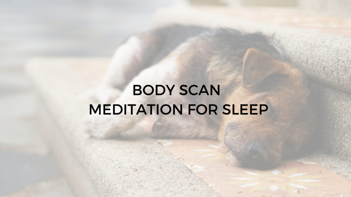 Body Scan Meditation For Sleep Argentina Rosado Yoga